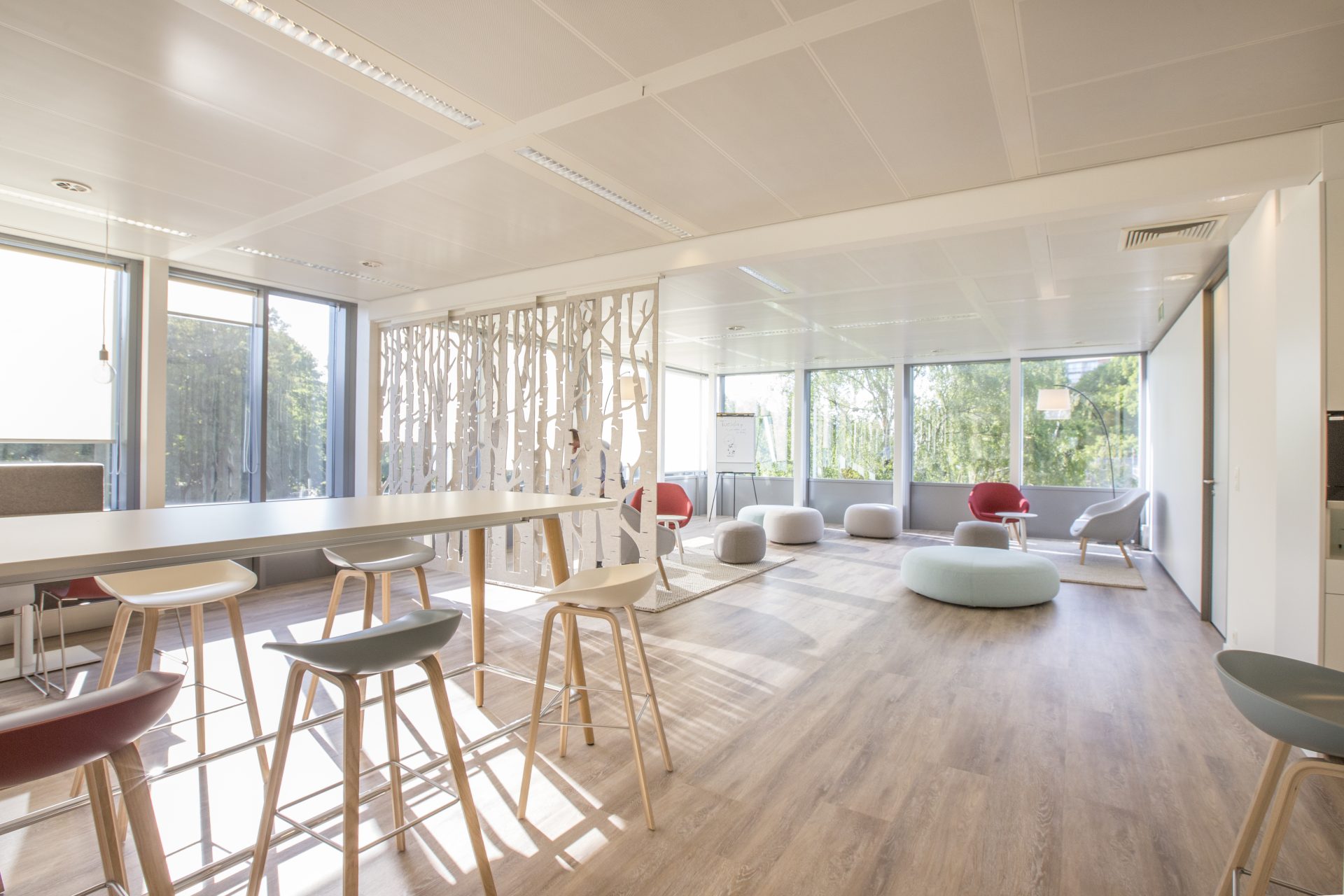 CMS Debacker - Bedimo