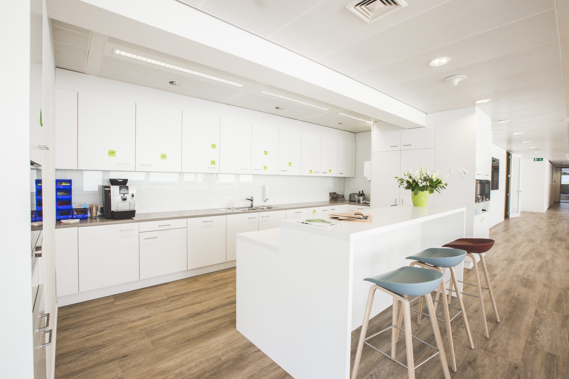 CMS Debacker - Bedimo