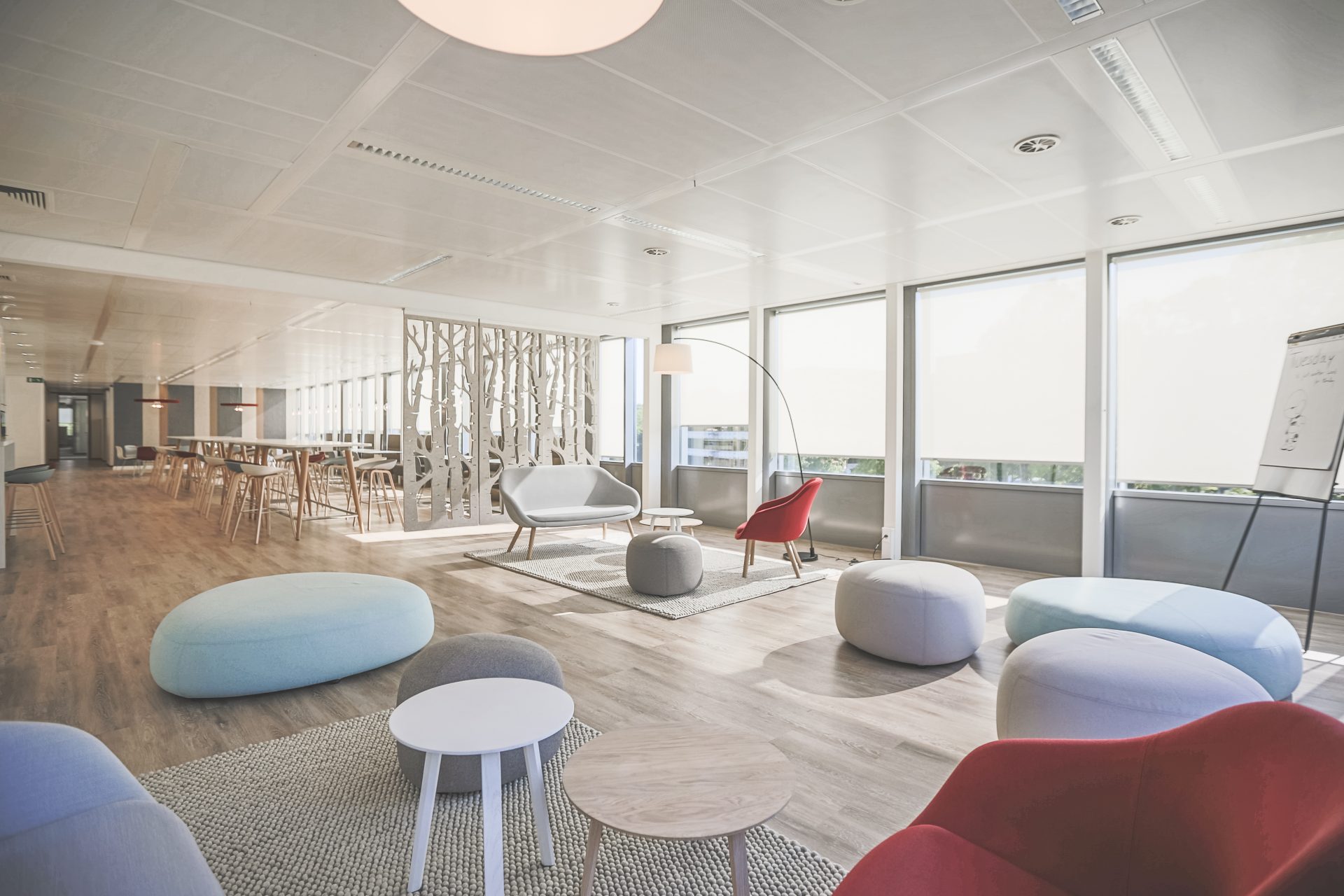 CMS Debacker - Bedimo